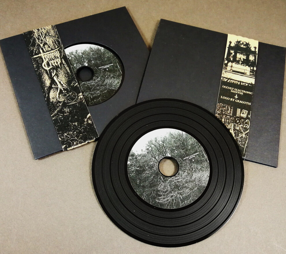 Vinyl CDs/DVDs in Plain Record Style Card Wallets - Band CDs
